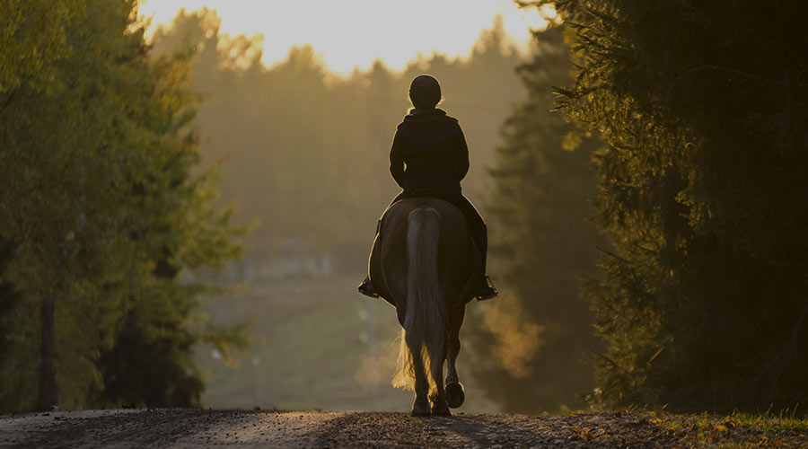Horseback Riding - Hocking Hills Activities (Ohio) - GO Hocking